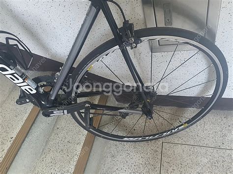 2019 캐논데일 슈퍼식스에보 50사이즈 로드바이크사이클 중고나라