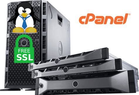 Linux Shared Web Hosting Services India MediaStroke