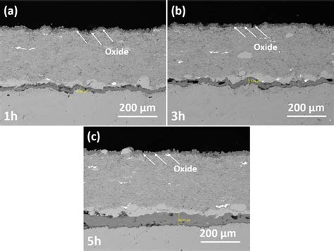 Cross Sectional Sem Micrographs Of Cr 3 C 2 Nicr Coatings After The