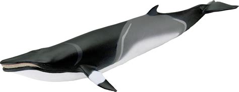 Safari Ltd Minke Whale Figurine Hand Painted Lifelike 7
