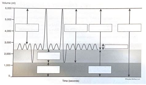 Aandp 2 Lab Ex 9 Spirometry And Ventilation Diagram Quizlet