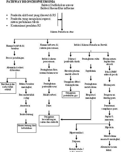 Pathway Bronchopneumonia Teguh Subianto