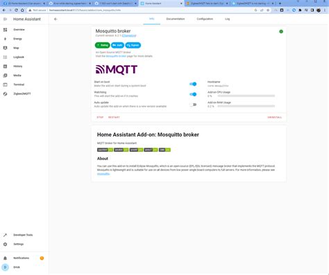 Zigbee2mqtt Is Not Starting Home Assistant Community