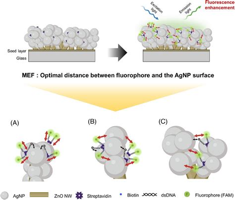 Advances In Three Dimensional Metal Enhanced Fluorescence Based Biosensors Using Metal