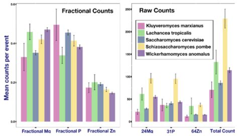 Single Cell Icp Ms Analysis Provides New Insights Into Cell Ionomics