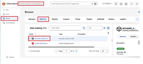 Custom Metadata Scanner In Informatica Cloud Data Governance And