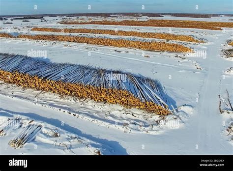 Logging Siberia Hi Res Stock Photography And Images Alamy