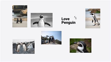 Knock Knock Penguin Love On Behance