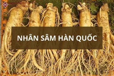 Nhân Sâm Hàn Quốc Là Gì Công Dụng Và Cách Dùng