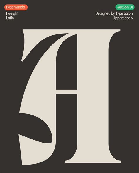 Dotless Type Not 100 Yet Extra