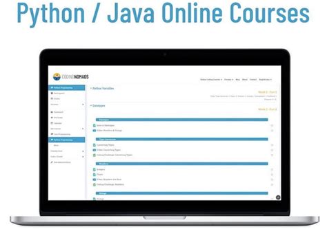 Codingnomads Transforms Budding Developers Into Professional Software