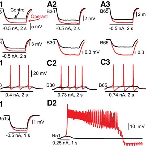 Implementing Neural Correlates Of Operant Conditioning Empirical Download Scientific Diagram
