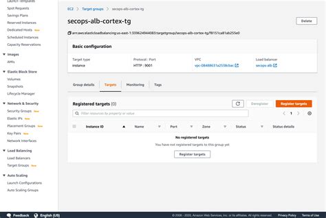 Thehive And Cortex On Aws — Ami Tutorials — Part 3a Launching Cortex