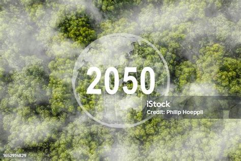 2050년까지 넷제로 자연의 평면도에서 탄소 중립 온실 가스 배출 제로 목표 기후 중립 장기 전략 지속 가능한 환경 개발 목표에 대한 개념 오솔길에 대한 스톡 사진 및 기타