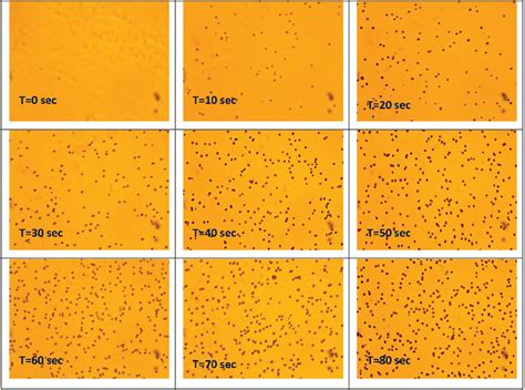 Figure 1 From Correlation Between The Track Density And Absorbance Of Alpha Particles Using Cr