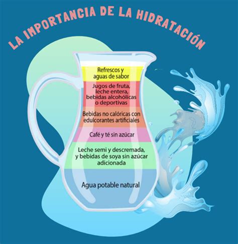 Jarra Del Buen Beber ¿qué Es Y ¿cuáles Son Sus 6 Niveles