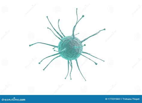 Isolated Dna Structure Vector Design 180202659