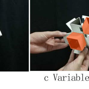Polyhedral Application Download Scientific Diagram