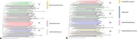 Phenotype Genotype Clustering Relation Considering K 3 And K 4