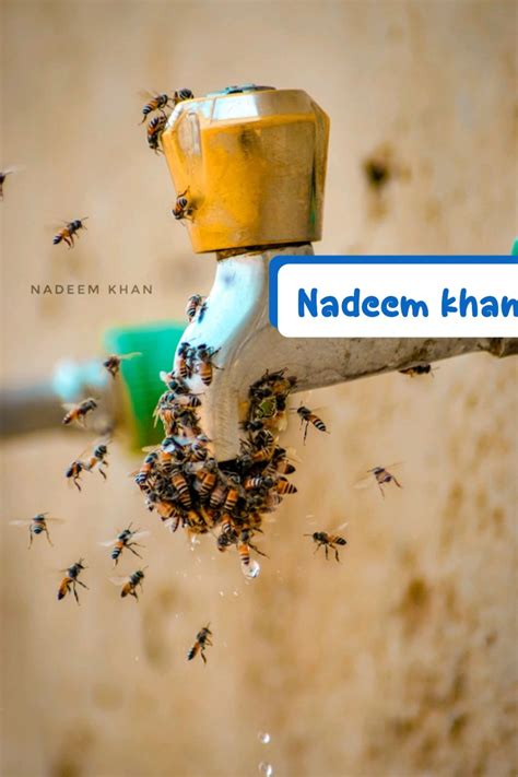 Nadeem Khan On Linkedin Photoshoot