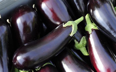 Healthy And Easy Low Carb Snack Ideas