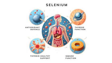 Selenium Powerful Benefits