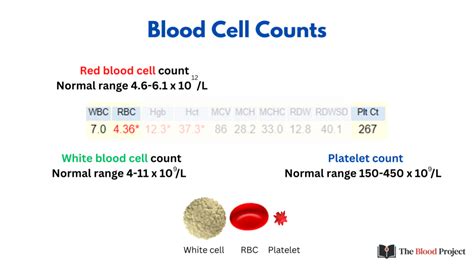Blood Counts The Blood Project