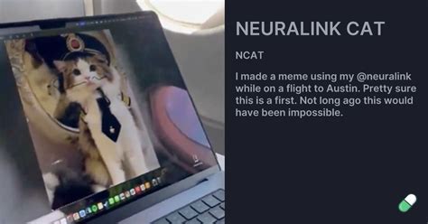 Neuralink Cat Ncat Pump
