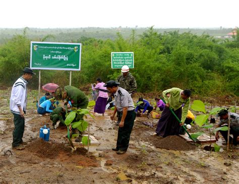 မိုင်းဆတ်မြို့၌ မိုးရာသီစုပေါင်းသစ်ပင်စိုက်ပွဲတော်ကျင်းပ Information