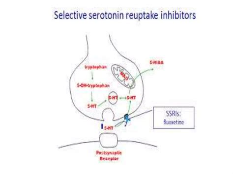 Serotonin Agonist Andantagonist Pptx