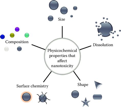Physicochemical Properties Of Fruits At Marc Beals Blog