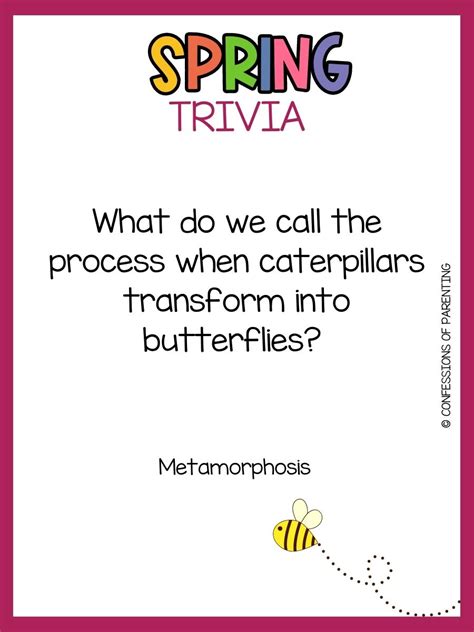 Best Spring Trivia Questions And Answers
