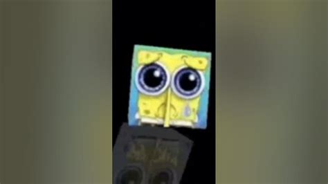 Spobgebob Wednessbsay Youtube