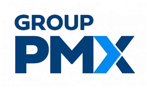 Pm Group Logo
