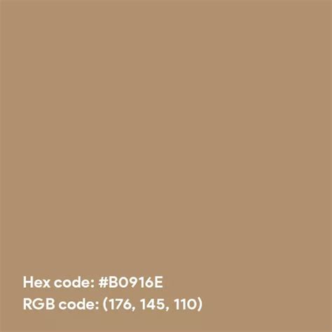 Cardboard Color Hex Code Is B0916e