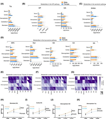 Tryptophan Metabolite Atlas Uncovers Organ Age And Sex‐specific