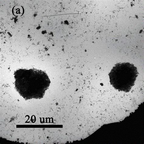 Preparation Method Of Attapulgite Clay Nanorod Crystal Composite Microsphere Adsorbent Eureka