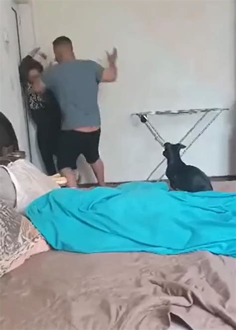 Освободиха под парична гаранция бияча от Бобов дол Информационна агенция ПИК