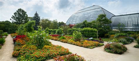 Garfield Park Conservatory In Chicago Choose Chicago