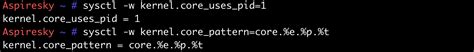 linux进程core dump机制 systemd coredump csdn博客