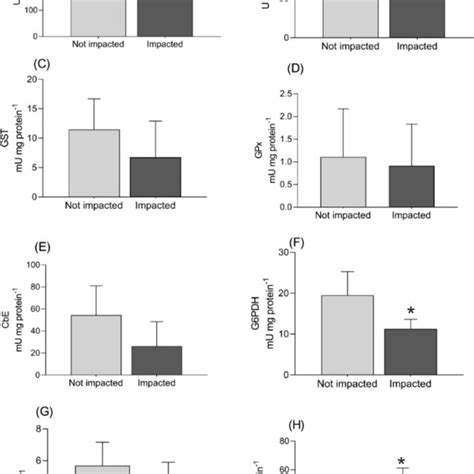 Enzymatic Activity Of Cat A Sod B Gst C Gpx D Cbe E Download Scientific Diagram