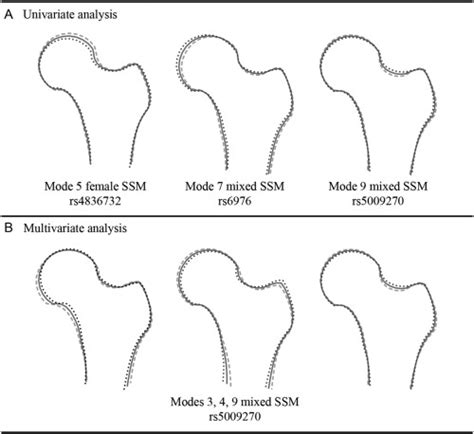 Investigation Of Association Between Hip Osteoarthritis Susceptibility Loci And Radiographic
