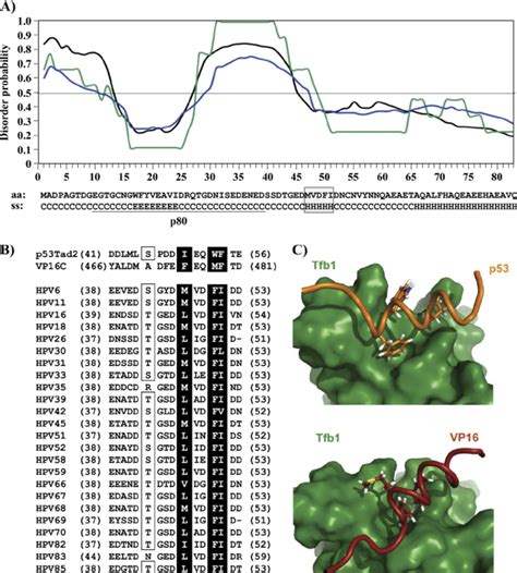 The E1 N Terminal Region Contains A Predicted Intrinsically Disordered