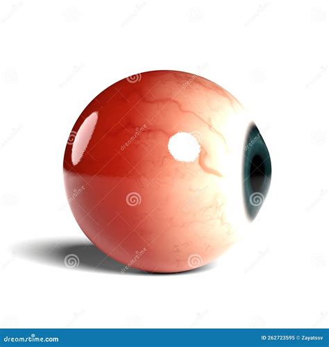 Side View Of Realistic Human Eyeball Isolated On Wihte Background 3d