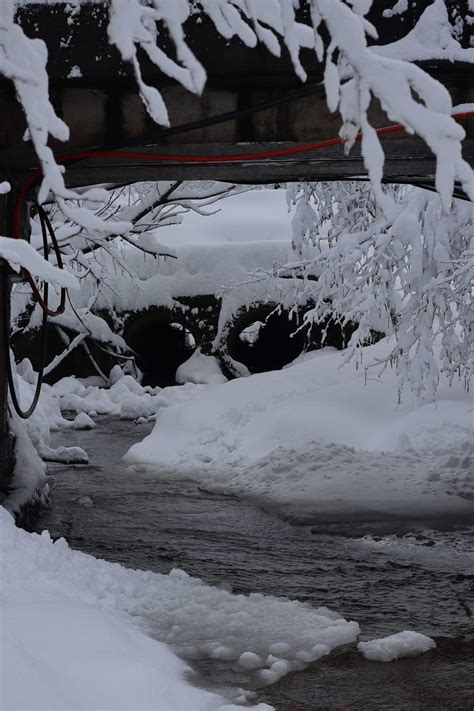 ციცქნა გურია სიყვარულია Added A ციცქნა გურია სიყვარულია