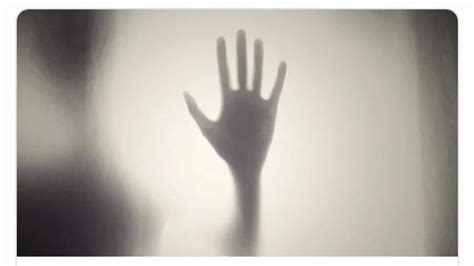 Foto Ada Lagi Kasus Hubungan Sedarah Incest Kali Ini Bacaleg Dprd Lombok Barat Cek Faktanya