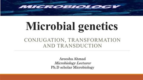 Dpt Conjugation Transduction And Transformation Pptx