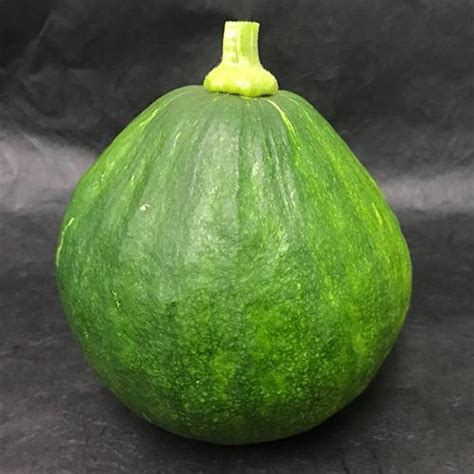 [경북애]풋호박 1개 옥수수 호박 사이소