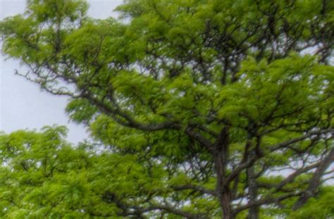 The Color Blend Mode In Photoshop F Academy