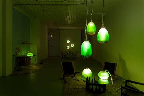 10 Benefits Of Algae Lamps Warisan Lighting